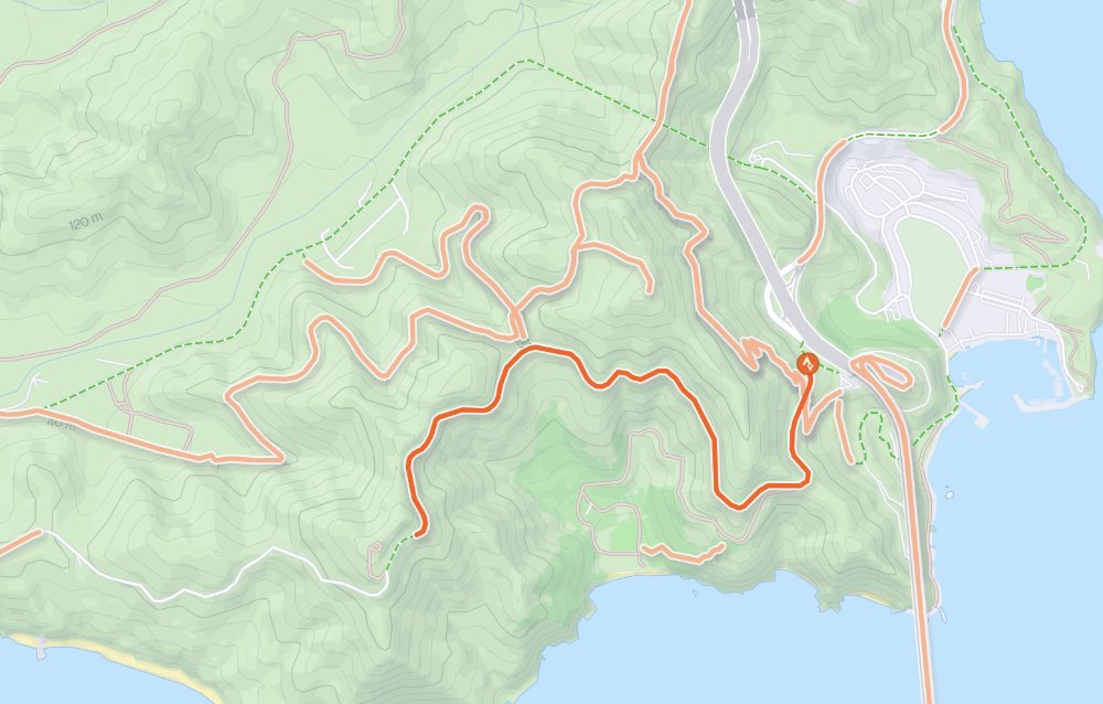 Strava Maps